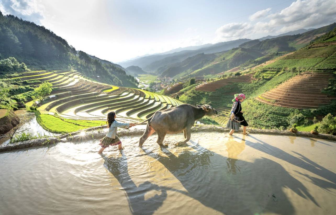 Women in the Philippines Play Increasing Roles in Rice Farming - We ...