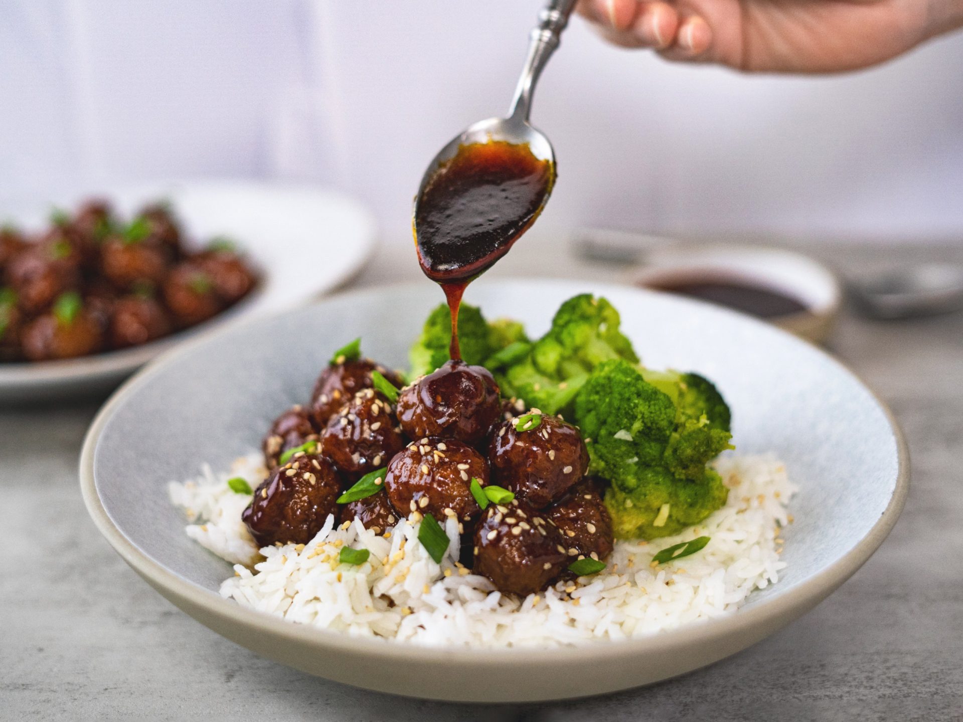 Pork Meatballs and Rice Recipe - We Know Rice