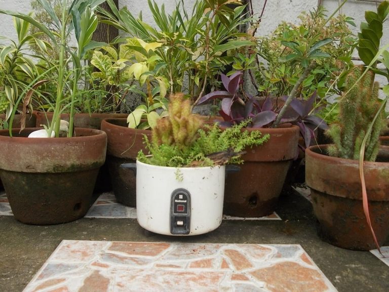A Complete Guide to Safe Disposal and Recycling of Old Rice Cookers ...